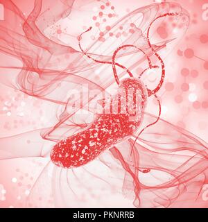 Helicobacter Pylori is a Gram-negative, microaerophilic bacterium found ...