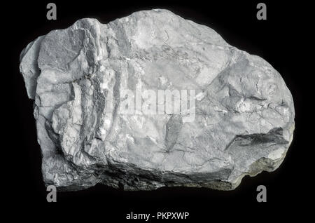Siltstone (Sedimentary Rock Stock Photo - Alamy