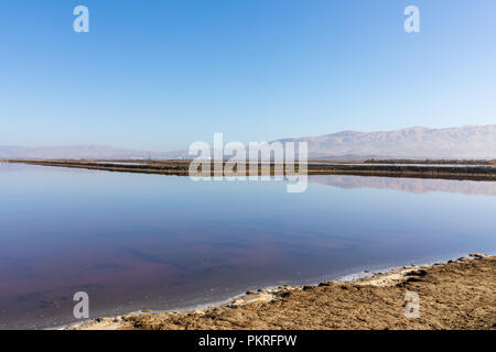 Alviso Marina County Park, view of Salt Pond A12; Alviso, San José ...