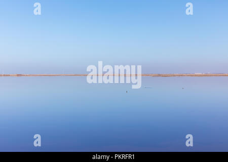 Alviso Marina County Park, view of Salt Pond A12; Alviso, San José ...