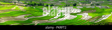 The image is as beautiful as the oil painting of terraced field. Curved ...