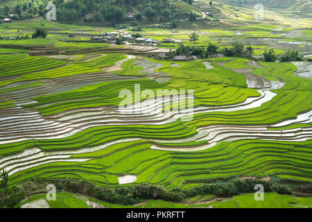 The image is as beautiful as the oil painting of terraced field. Curved ...
