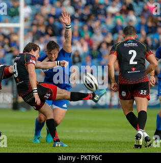 Rhodri Williams of Dragons Rugby, clear the ball Stock Photo - Alamy