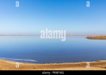Alviso Marina County Park, view of Salt Pond A12; Alviso, San José ...