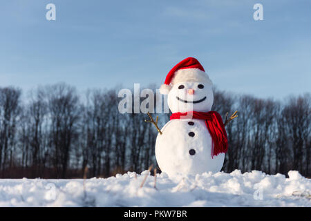 Funny snowman in red hat Stock Photo - Alamy