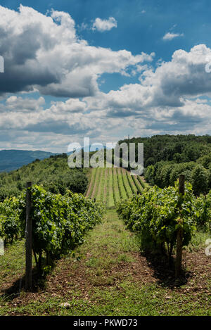 Serbian rural Landscape with vineyards and hills Stock Photo - Alamy