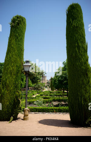 Cordoba, Spain - June 20: Orange TREES IN Jardines PARK, Andalucia ...