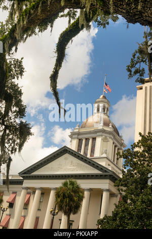 Tallahassee Florida,Florida State Capitol,historic Old Capitol,museum ...
