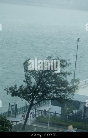 The No 10 Signal Of Hong Kong Stock Photo - Alamy
