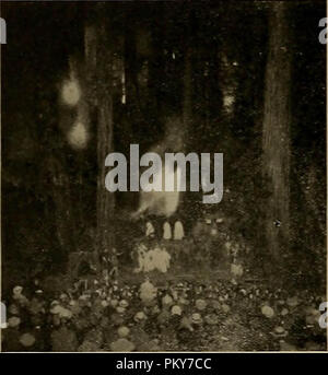 "The Argonaut" (1877 Stock Photo - Alamy