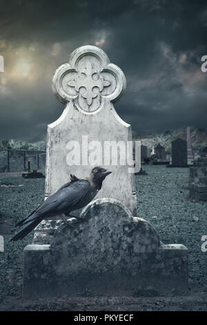 crow on tombstone Stock Photo - Alamy