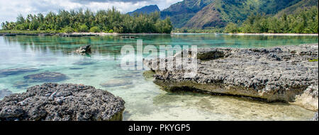 Tropical beach in Moorea, French Polynesia Stock Photo - Alamy