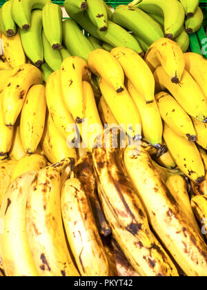 Bananas with unripe fruit are green, with a banana heart hanging down ...