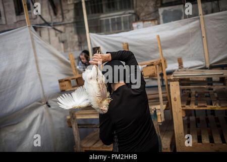 An ultra-Orthodox Jewish woman swings a chicken over her head in ...