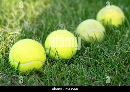 Tennis racket with tennis balls on grass with black background and copy ...