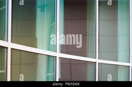 successful woman leader looks out the window of his personal office ...