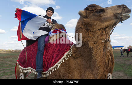 Bactrian camel racing in Astrakhan region, Russia. Farmers ride their ...