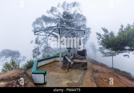 Dambatenne Estate, Lipton tea estates, Haputale, Hill Country, Sri ...