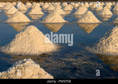 Thailand, salt fields in Petchabury Stock Photo - Alamy