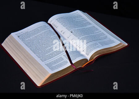 Bible opened up with worn gold on pages isolated on black background ...