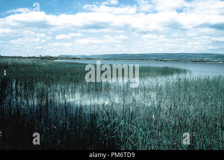 Kenfig Pool, Kenfig National Nature reserve near Porthcawl, Bridgend ...