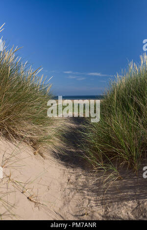 Sand dunes of Holkham beach, Norfolkuk Stock Photo - Alamy