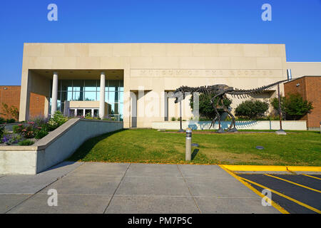 The Museum of the Rockies, known for its dinosaur paleontological ...