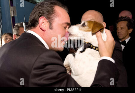 the artist dog oscar