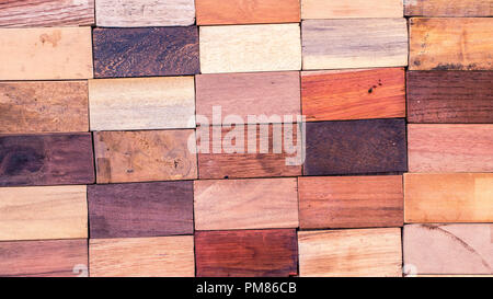wood specimen from different tropical hardwood that grow in Indonesia ...