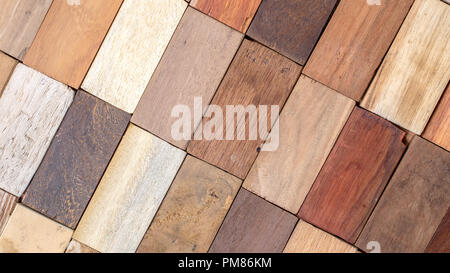wood specimen from different tropical hardwood that grow in Indonesia ...