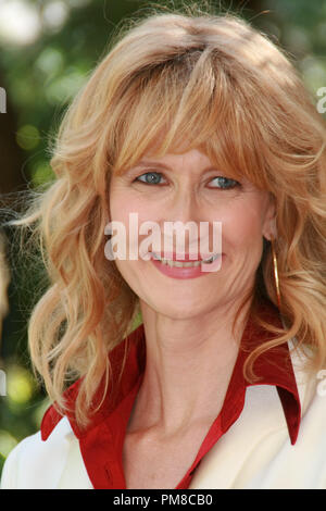 Laura Dern "Enlightened" TV Series Portrait Session, February 11, 2013 ...