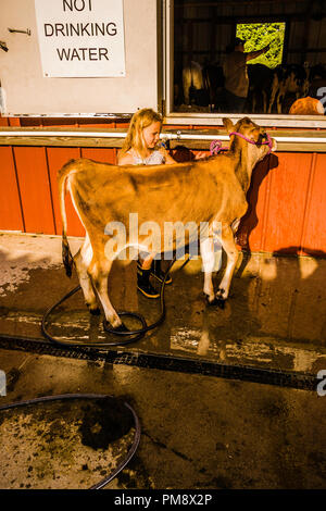 60th Annual Country Fair Terryville, Connecticut, USA Stock Photo - Alamy