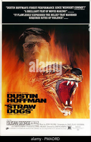 STRAW DOGS, Dustin Hoffman, (poster art), 1971 Stock Photo - Alamy