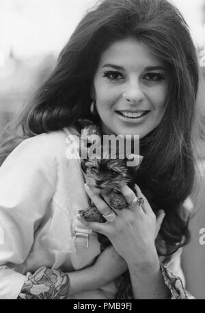 Bobbie Gentry, 1968 © JRC /The Hollywood Archive - All Rights Reserved ...