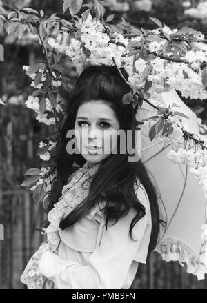 Bobbie Gentry,1969 © JRC /The Hollywood Archive - All Rights Reserved ...