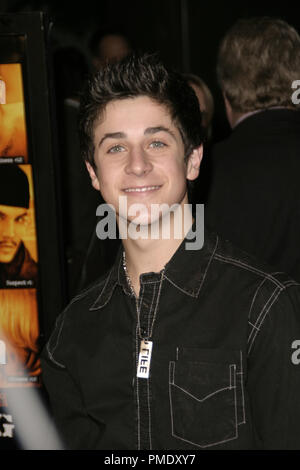 David Henrie Los Angeles Premiere of 'Balls of Fury' held at the ...