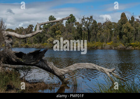 Minninup Pool, Collie, WA, Australia Stock Photo - Alamy