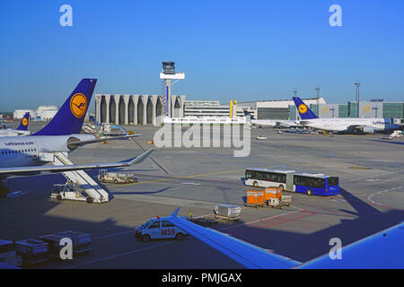 Lufthansa (LH) aircrafts are lined up at the Frankfurt Airport (FRA ...