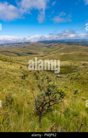 Views of Mt Inyangani, Zimbabwe's highest point, Nyanga national park ...
