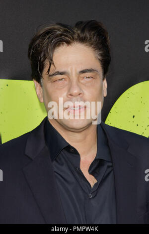 Benicio Del Toro at arrivals for SAVAGES Premiere, Regency Village ...