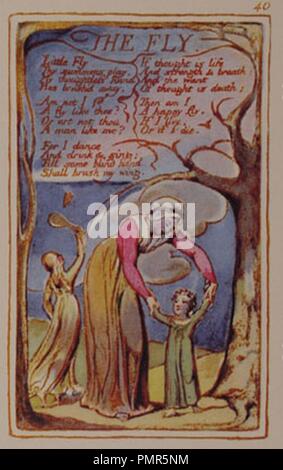 Blake The Fly Stock Photo - Alamy