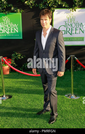 Patrick Muldoon World Premiere of "The Odd Life of Timothy Green" at El ...