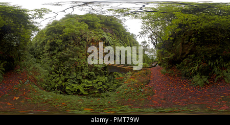 360° view of Madeira, Caldera Verde - Alamy