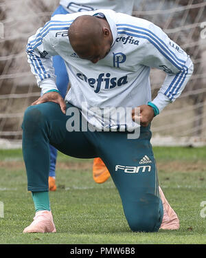 Santiago, Chile. 19th Sep, 2018. The player Marcos Rocha, from SE ...