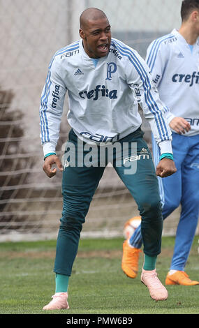 Santiago, Chile. 19th Sep, 2018. The player Marcos Rocha, from SE ...