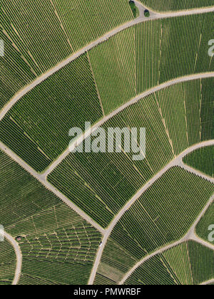 View from above textured green farmland crops Stock Photo - Alamy