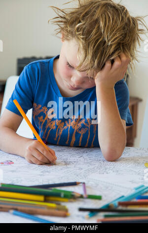Focused boy drawing with colored pencil at home Stock Photo - Alamy