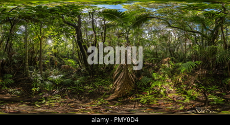 360° view of Welcome To The Jungle - Alamy