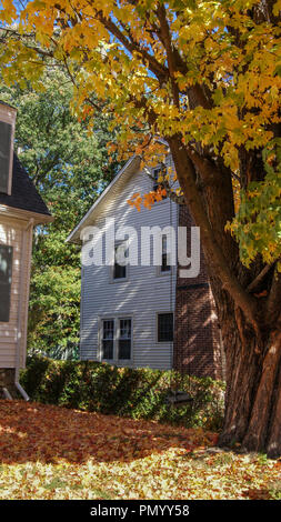 Old wooden house with maple trees at autumn in Suzdal, Russia Stock ...
