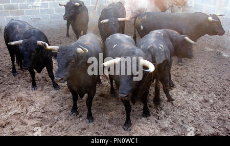 Herdade da Barroca d' Alva, Alcochete Stock Photo - Alamy